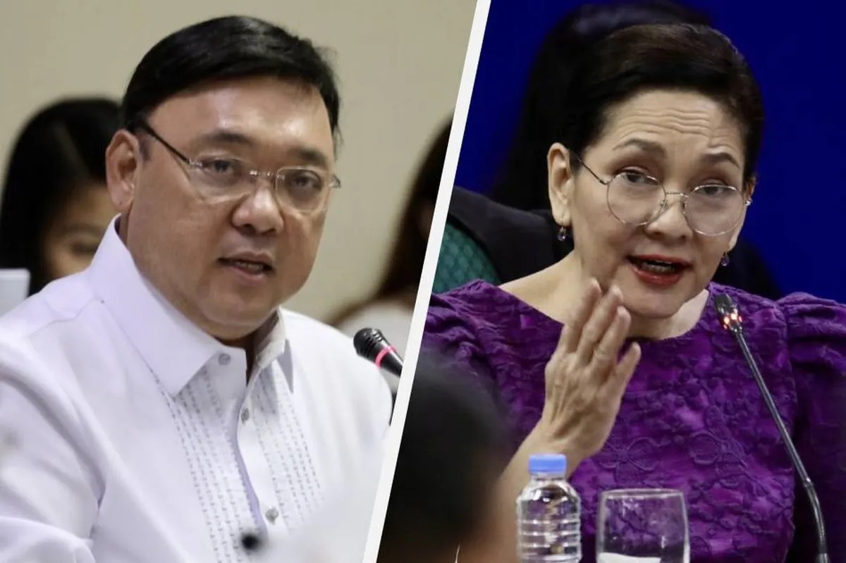 Harry Roque fumes at Senate hearing, scolded for 'disrespecting ...