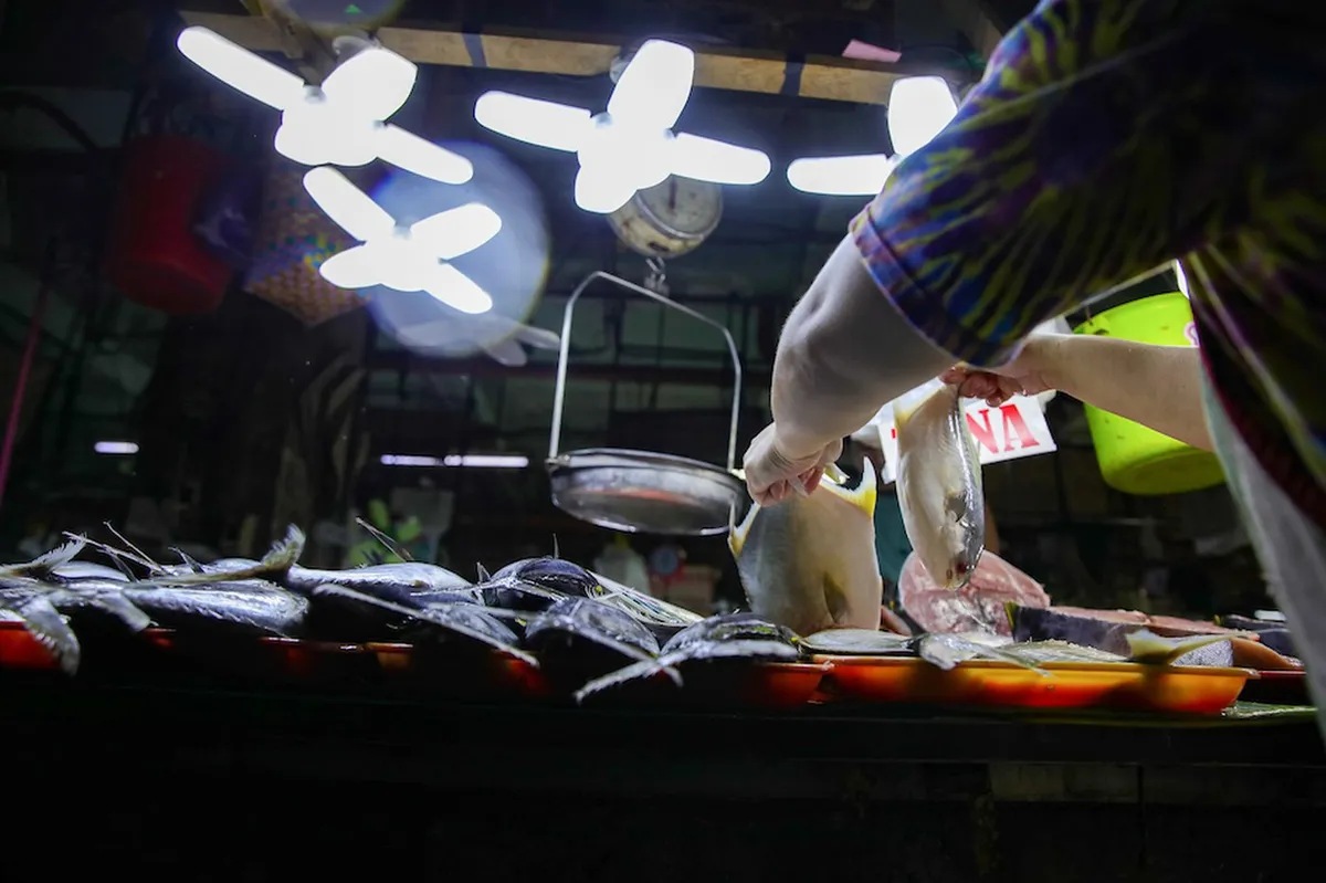 Fish samples from Bataan still 'passed' sensory test amid oil spill ...