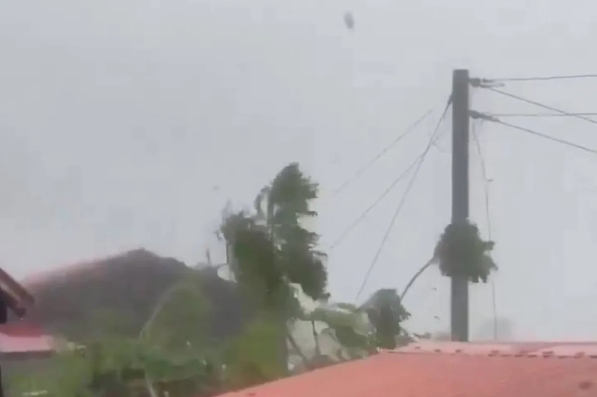 Strong winds, heavy rains by typhoon Julian bring damage to Northern ...