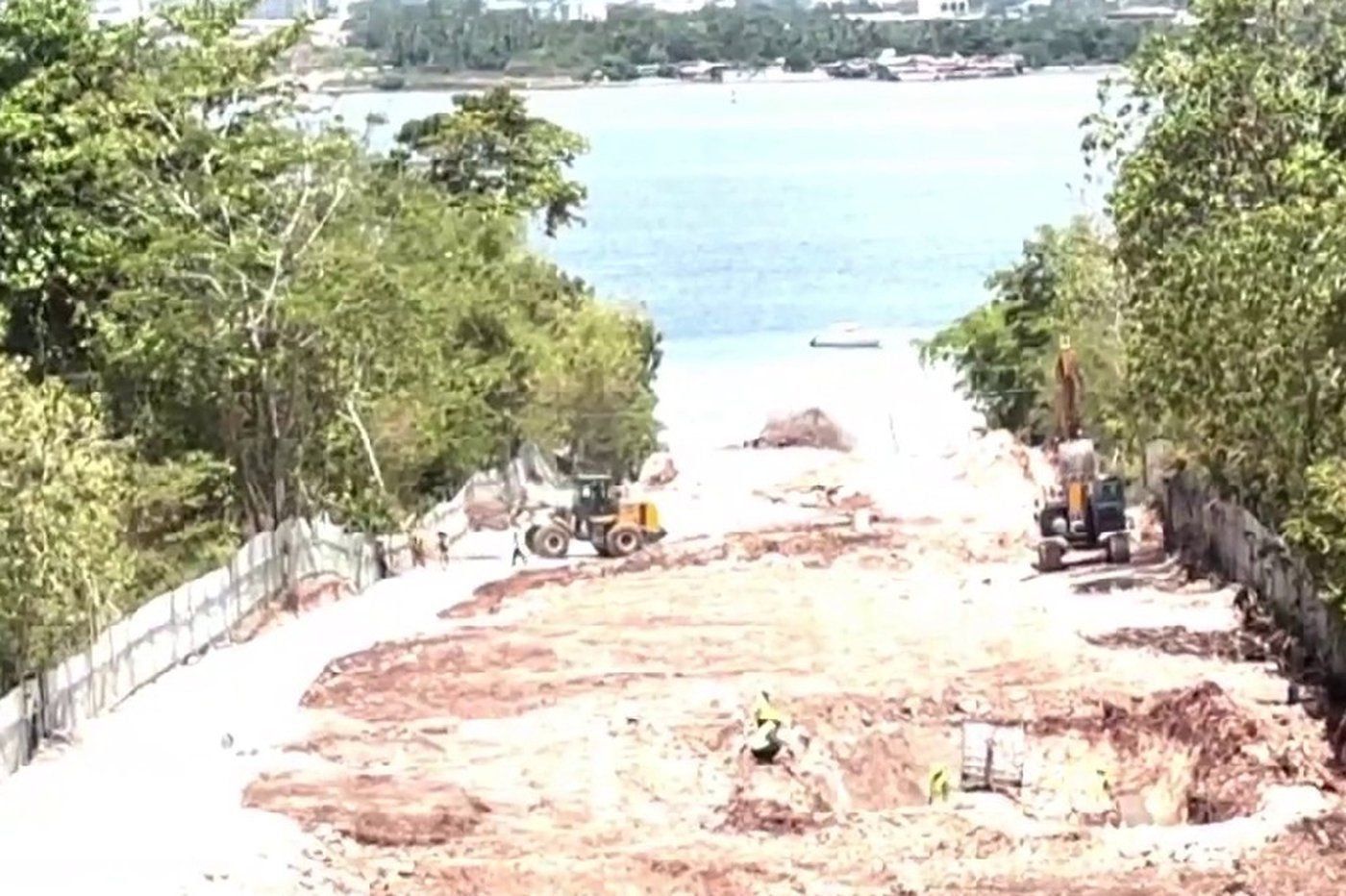 Marine biologist may babala tungkol sa puwesto ng Samal-Davao bridge ...
