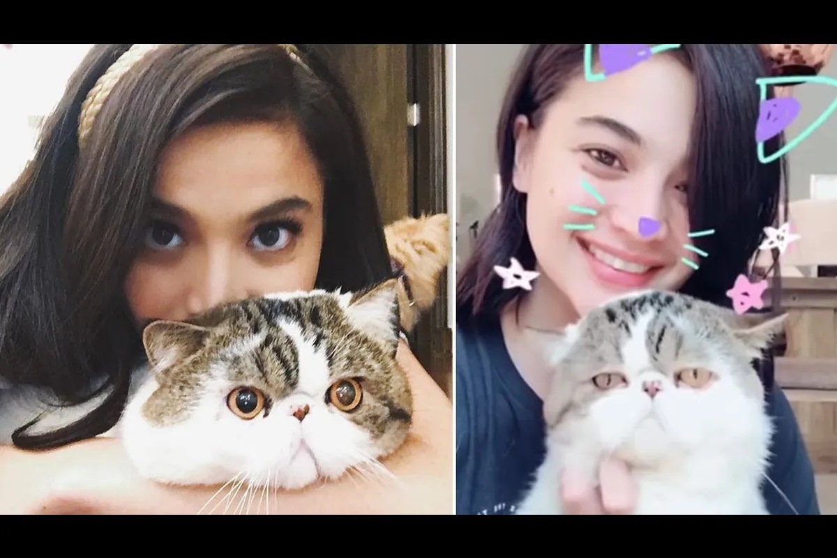 Anne Curtis mourns the passing of pet cat | ABS-CBN Entertainment