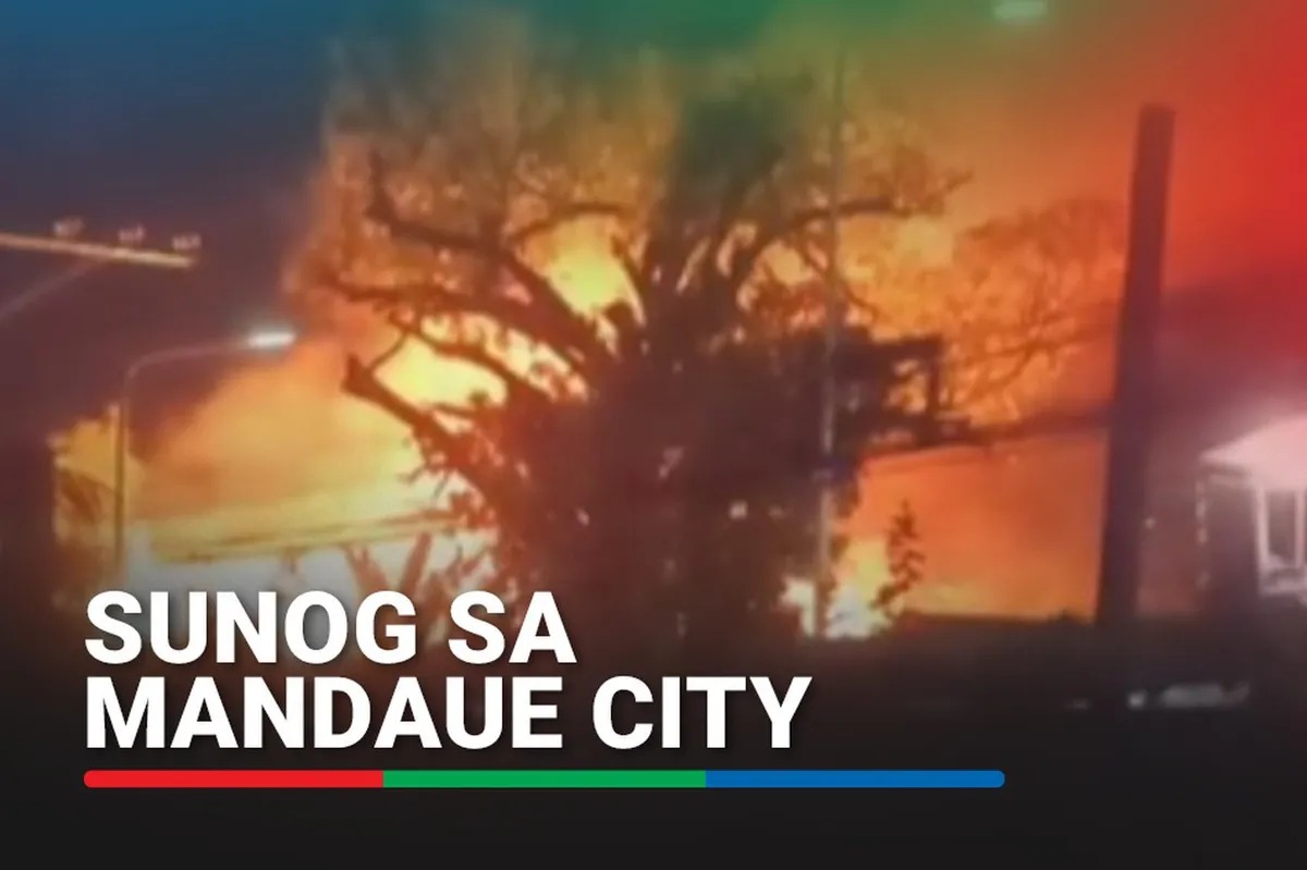 3 bahay nilamon ng apoy sa Mandaue, Cebu | ABS-CBN News