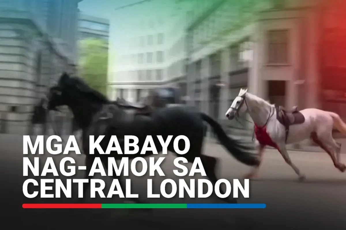 Mga kabayong militar nag-amok sa central London, 4 katao sugatan | ABS ...