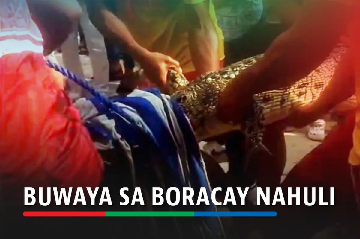 Buwaya nahuli sa Boracay | ABS-CBN News