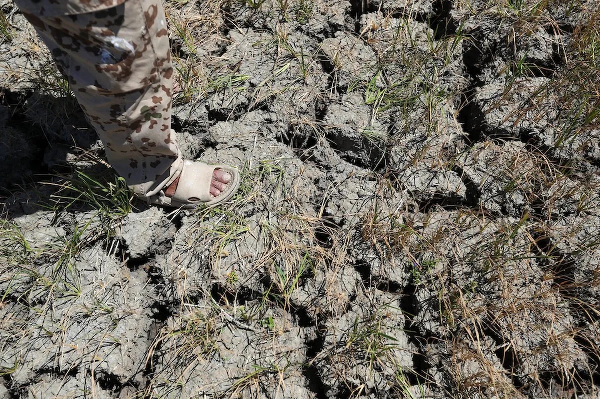 Marcos: Rice supply sufficient despite El Nino impact | ABS-CBN News