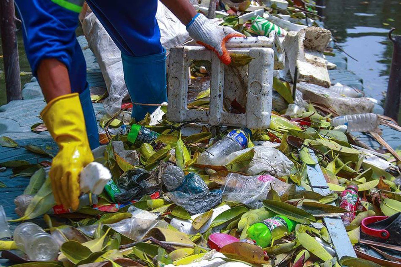'Easy, convenient, cheap': How single-use plastic rules the world | ABS ...