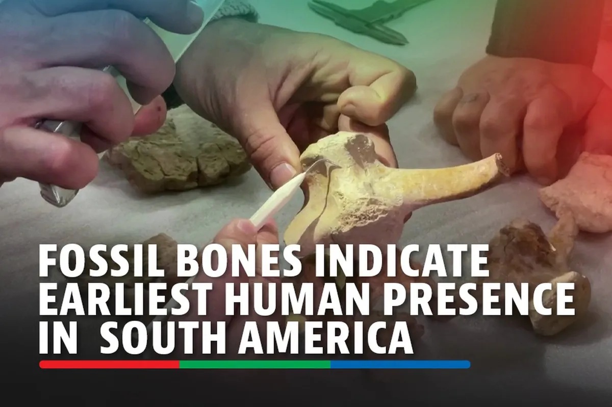 Butchered animal bones indicate earliest human presence in South ...