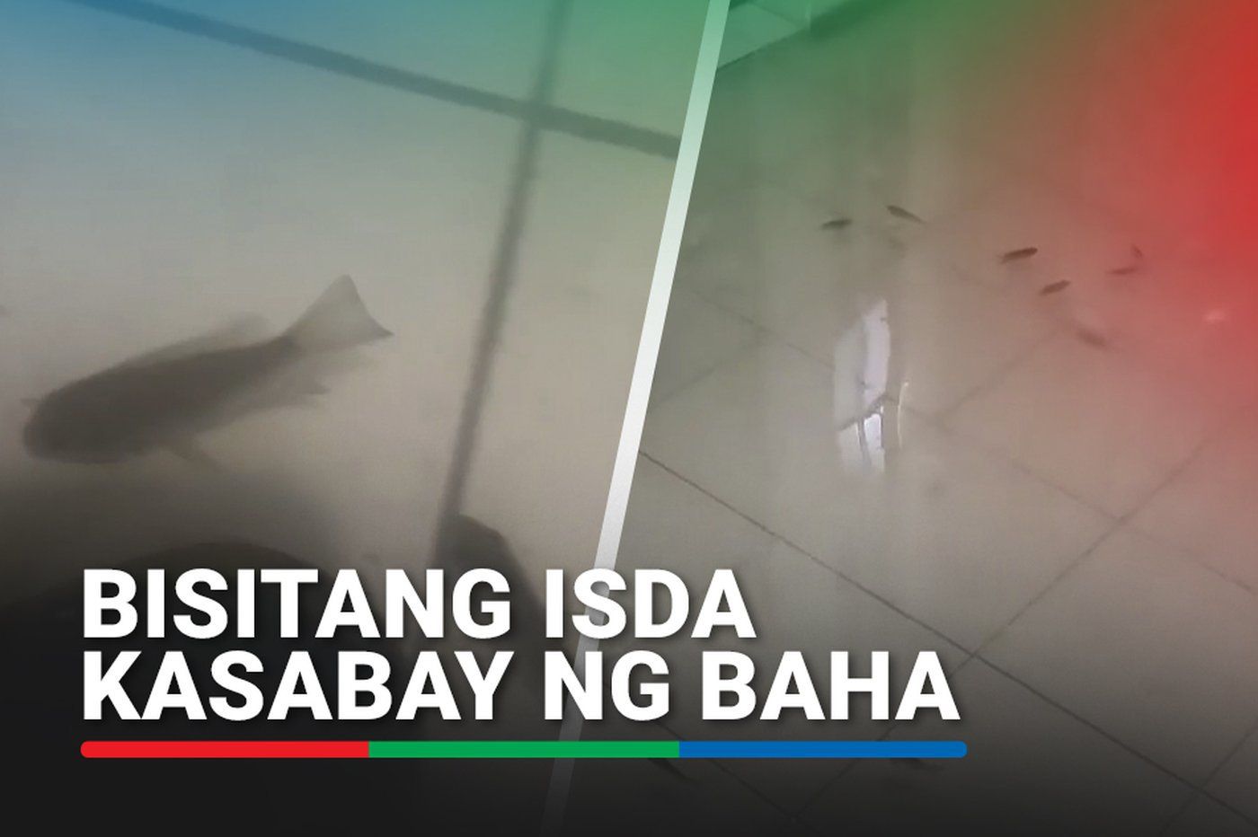 Binahang bahay sa Bulacan pinasok pati ng mga isda | ABS-CBN News