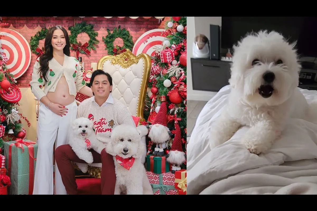 WATCH: Maja Salvador shares cute moment with fur baby Duke | ABS-CBN ...
