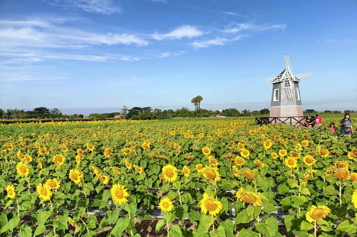 Summer Pasyalan: Farm Villaronte | ABS-CBN Lifestyle