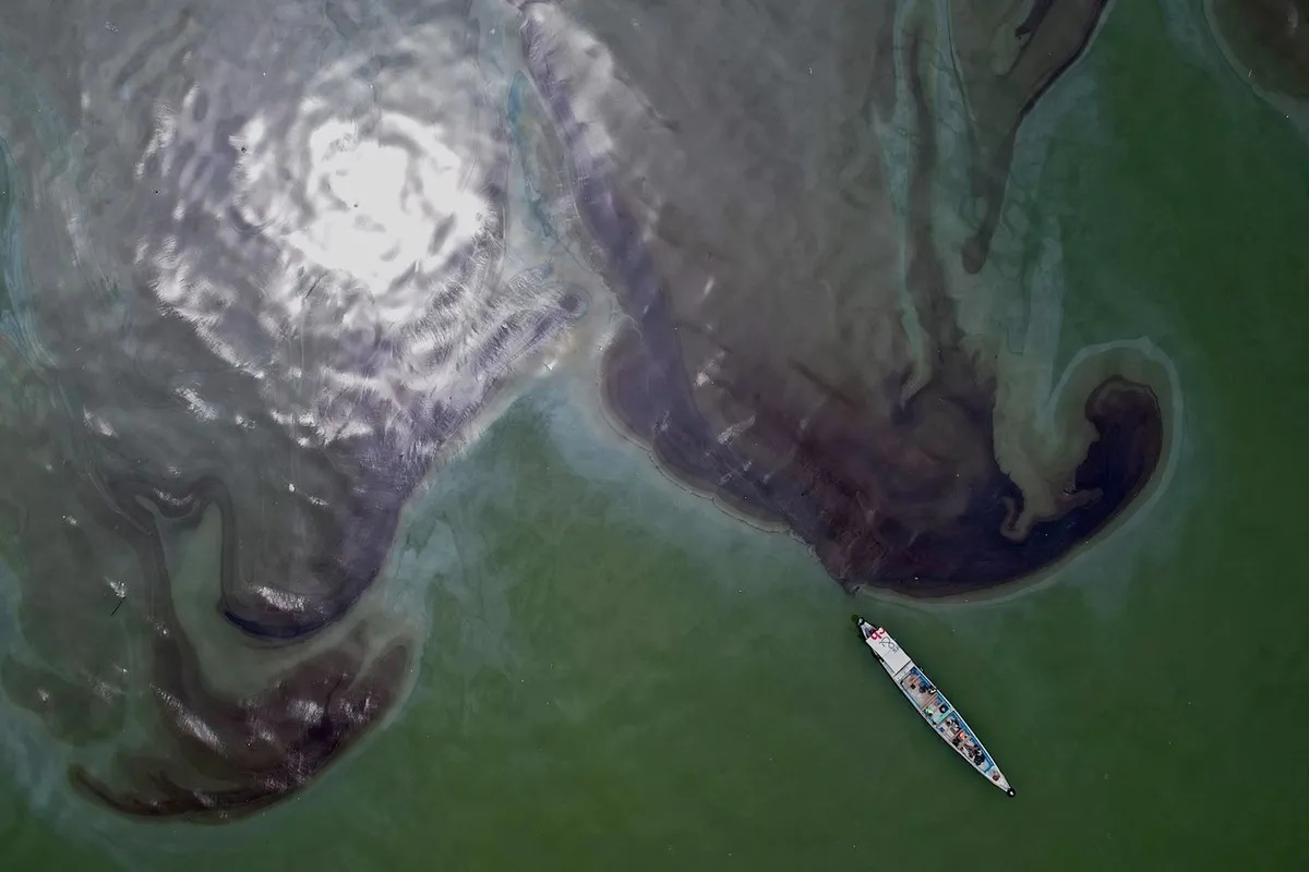 Parts of Cavite under state of calamity due to oil spill | ABS-CBN News