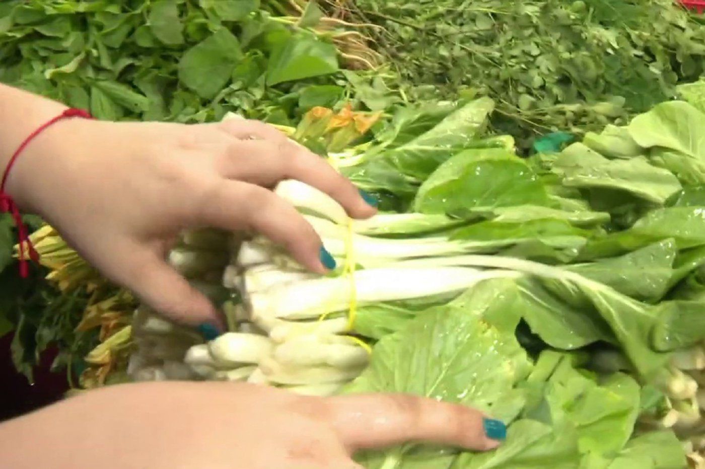 Gulay mula sa urban farms, nakitaan ng E.coli: pag-aaral | ABS-CBN ...