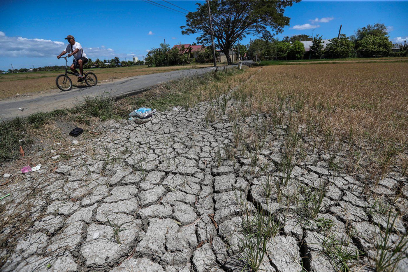 How did the Marcos Jr. administration combat the greatest threat to ...