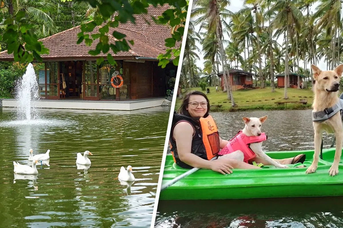 These hotels, resorts and restos are 'furriendly' to pets | ABS-CBN ...