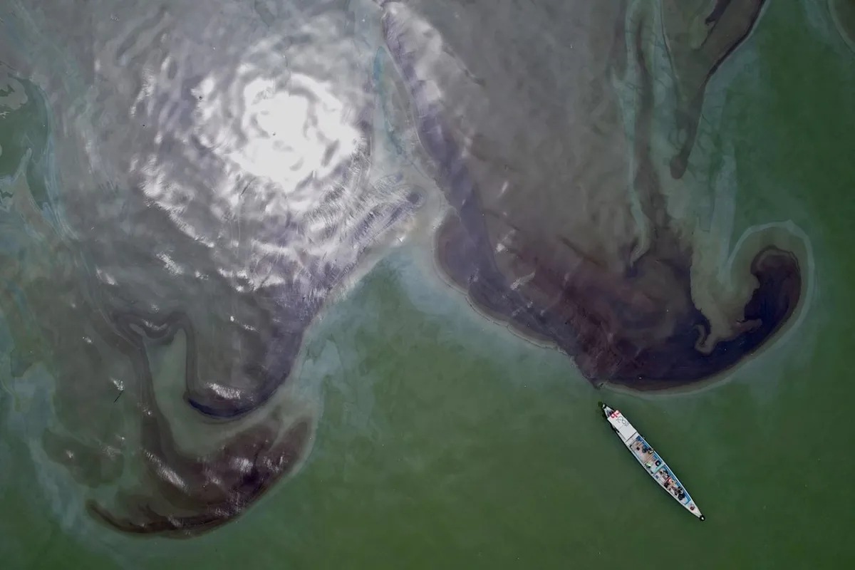 BFAR test shows negative traces of oil spill in Bataan fish samples ...