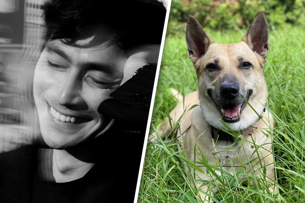 Cedrick Juan condemns discrimination against aspins | ABS-CBN Lifestyle