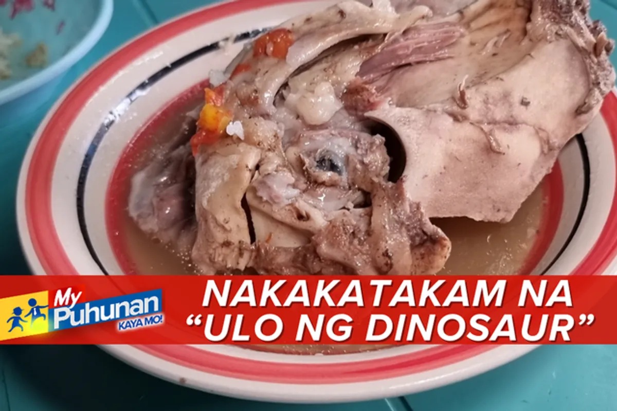 'My Puhunan: Kaya Mo!': 'Ulo ng dinosaur', binabalik-balikan sa ...