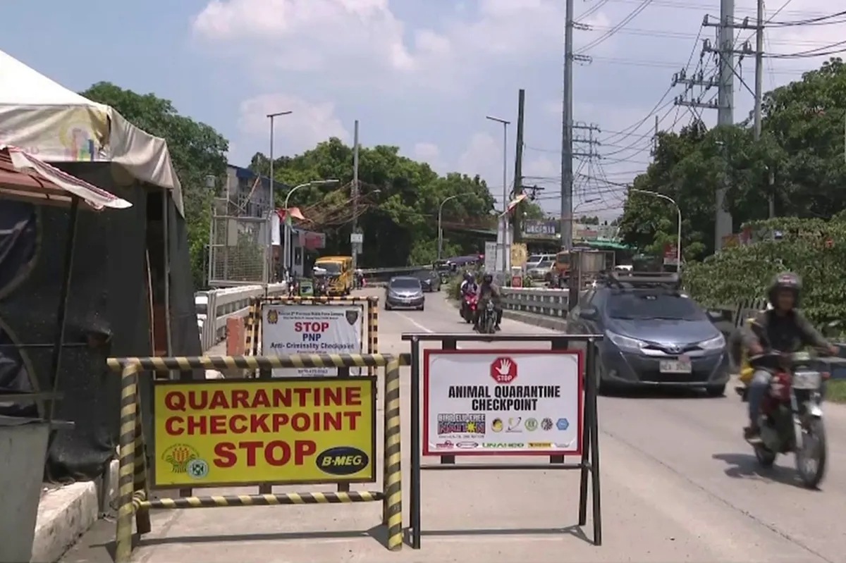 Pork producers urge gov't to declare national state of calamity due to ...