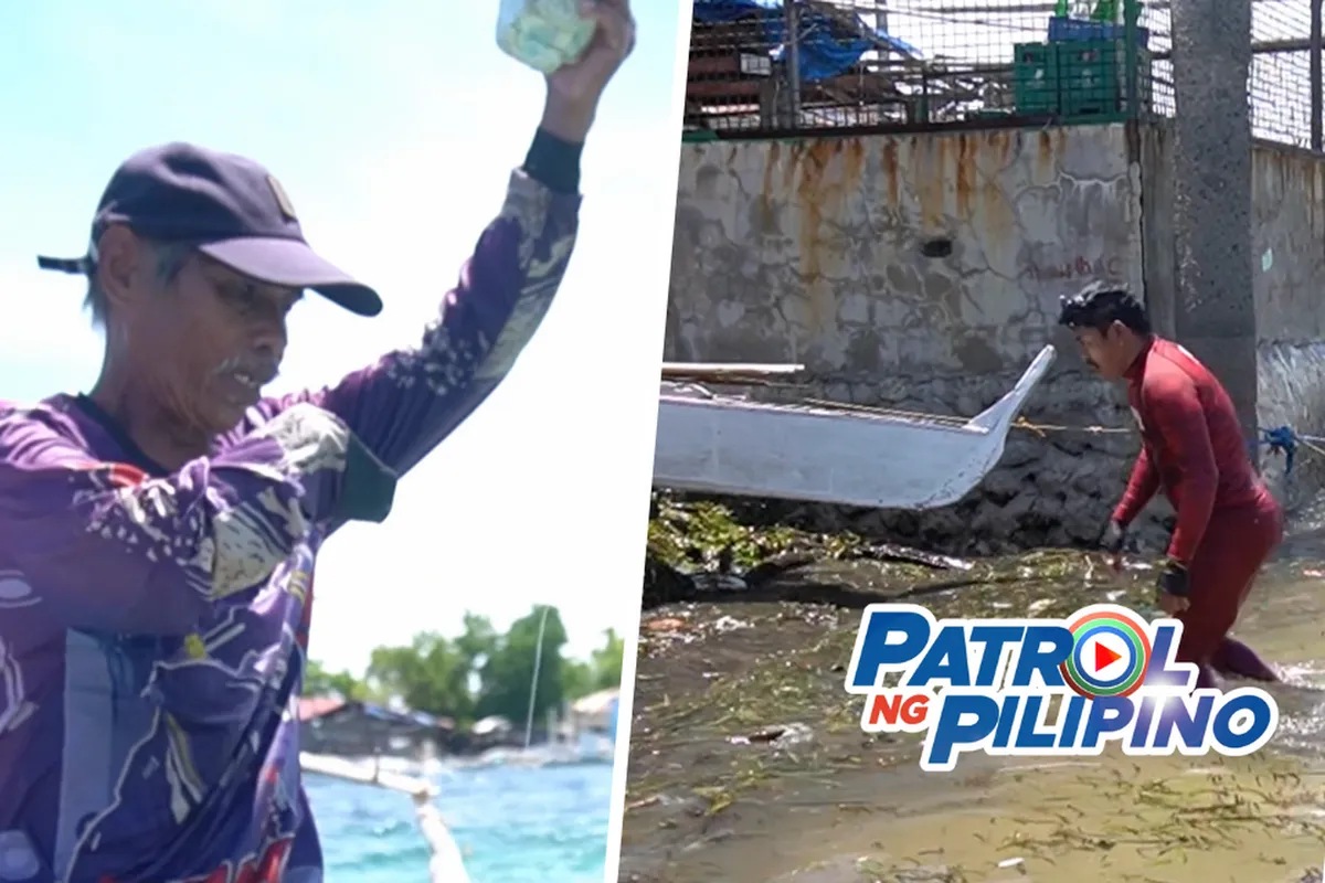 ‘Drowning Island’ sa Cebu, paano pinaghahandaan ang posibleng paglamon ...
