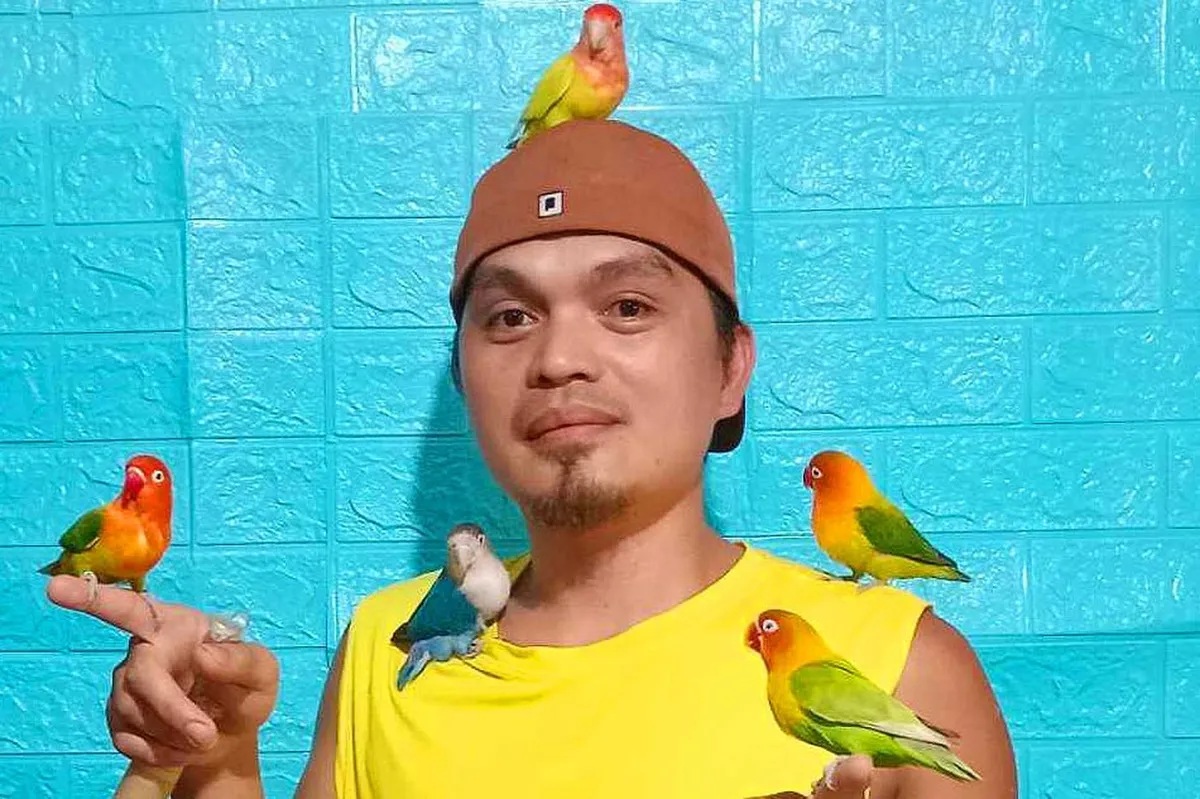 Blue-naped parrots o pikoy na madaming alam na tricks, kinabiliban sa ...