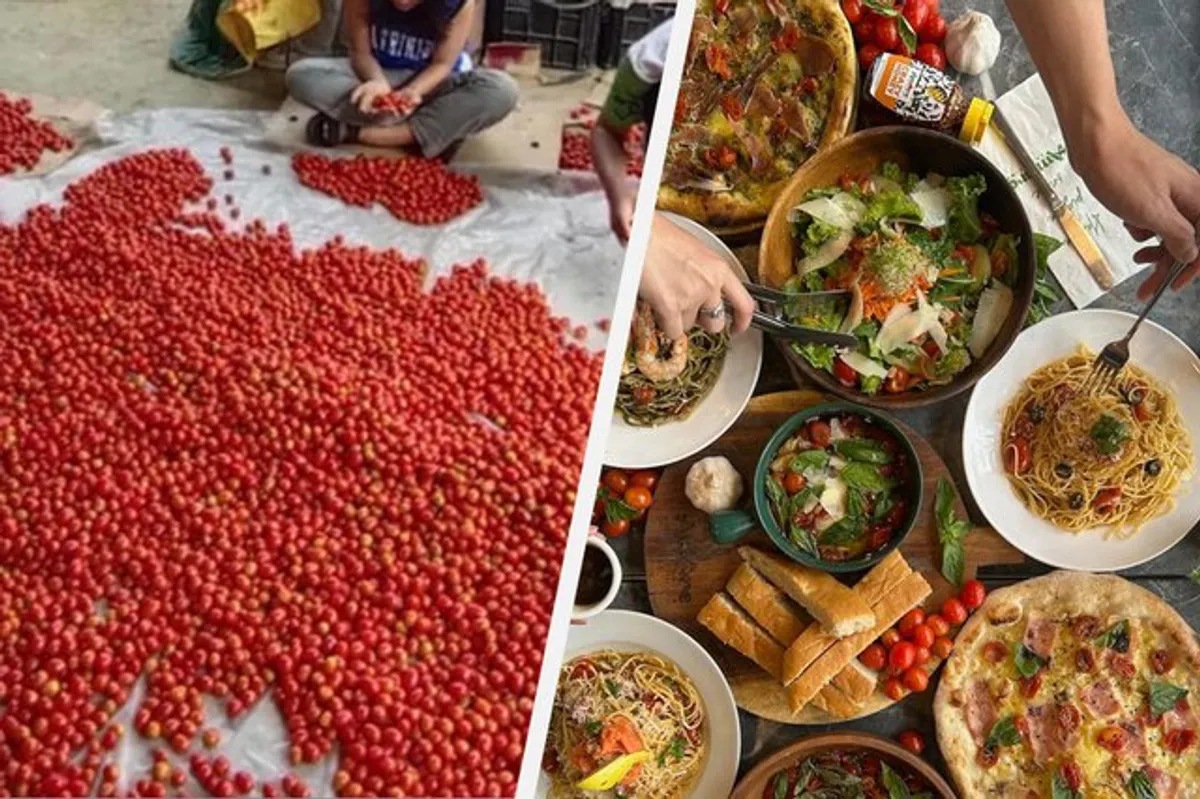 Restaurant offers new menu to rescue 600kg produce of Benguet farmers ...