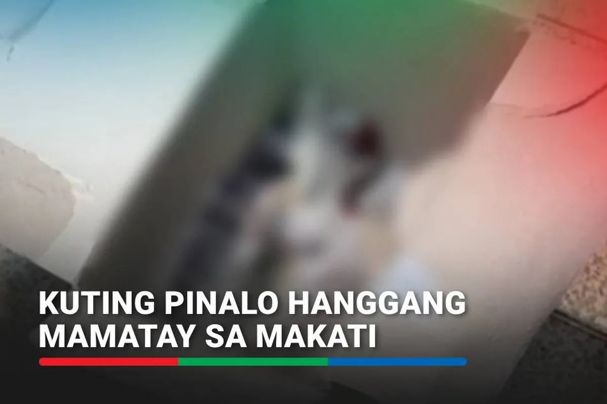 Kuting pinalo hanggang mamatay sa Makati | ABS-CBN News