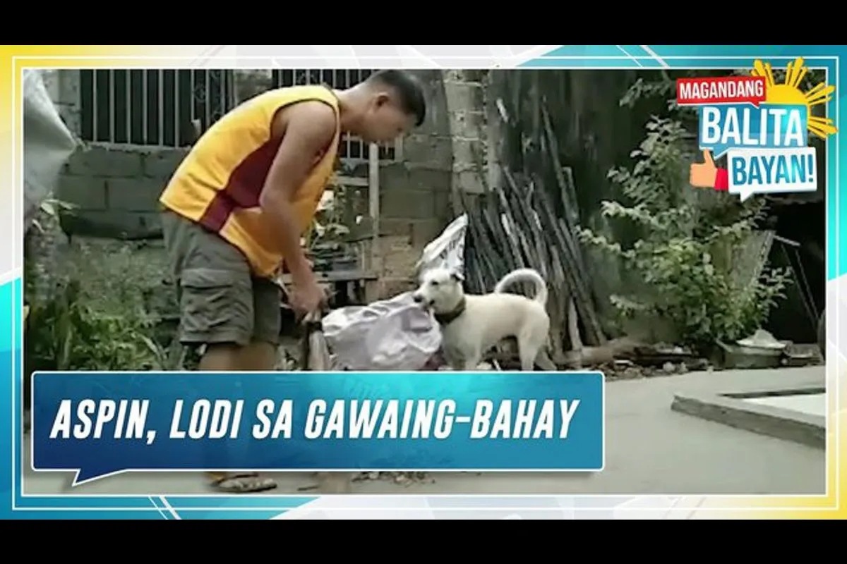 Magandang Balita, Bayan: Aspin, lodi sa gawaing-bahay | ABS-CBN Lifestyle
