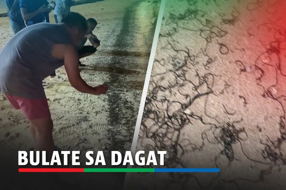 PANOORIN: Mga bulate sa dagat dumagsa sa dalampasigan sa Davao Oriental ...