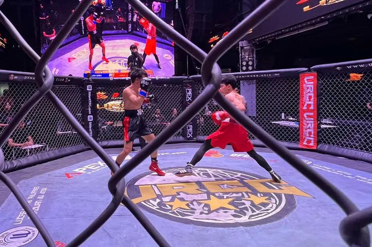 URCC, Dynasty Fight Club launch 'Prodigy Progression Series' | ABS-CBN ...