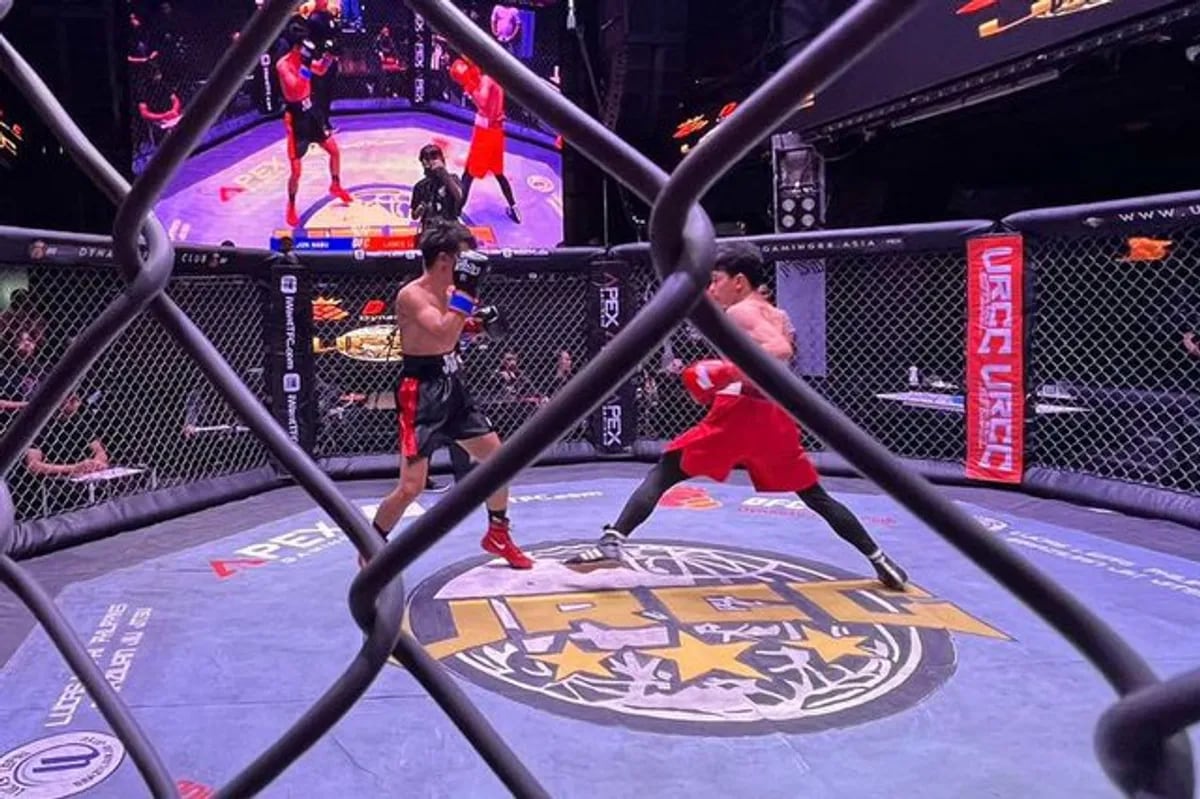 URCC, Dynasty Fight Club launch 'Prodigy Progression Series' | ABS-CBN ...