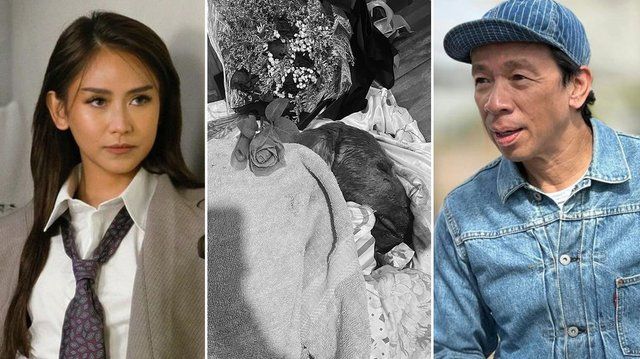 Sarah Geronimo, Kim Atienza seek justice for dog killed in Camarines ...