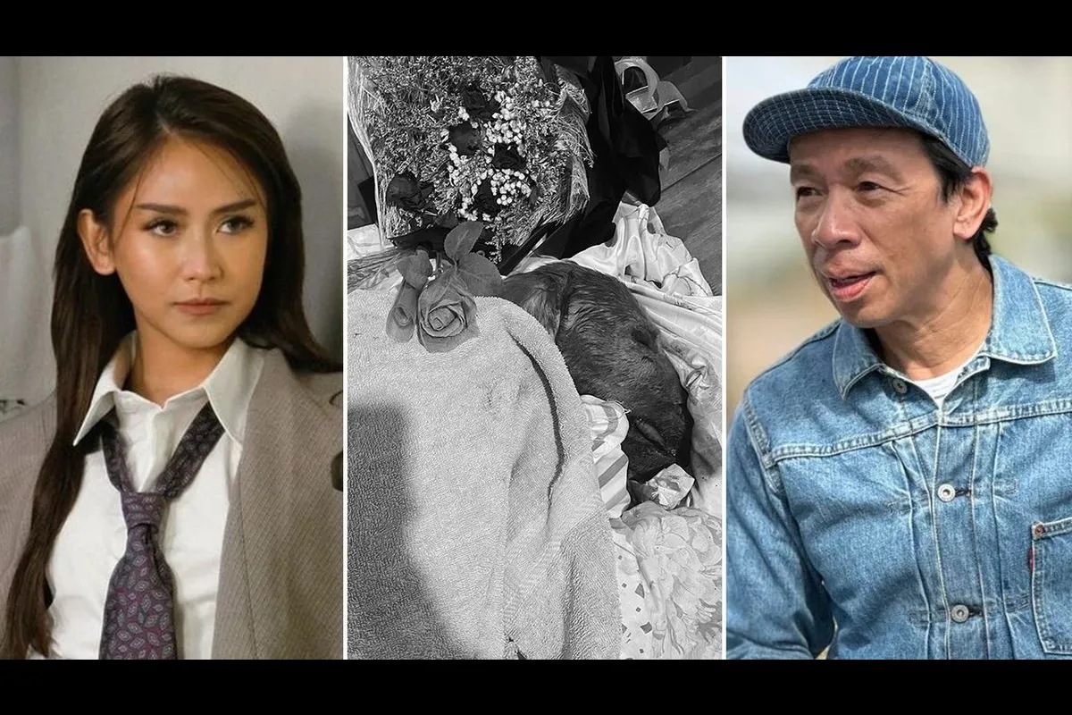 Sarah Geronimo, Kim Atienza seek justice for dog killed in Camarines ...