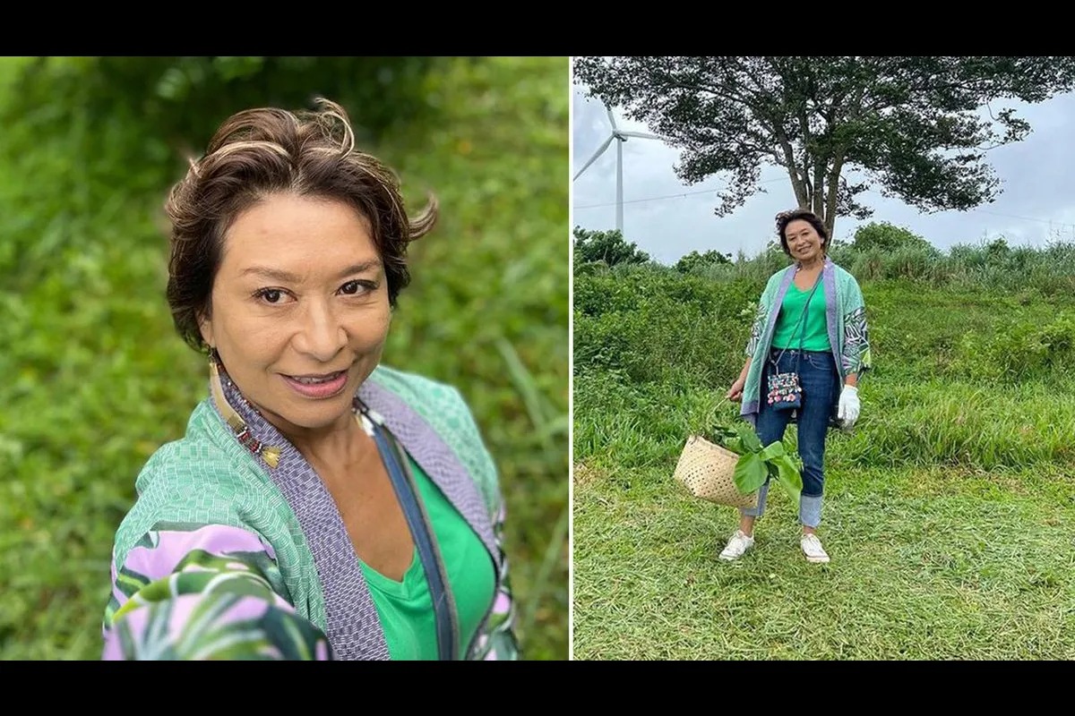 EXCLUSIVE: Ces Drilon shares story behind smudge sticks business | ABS ...