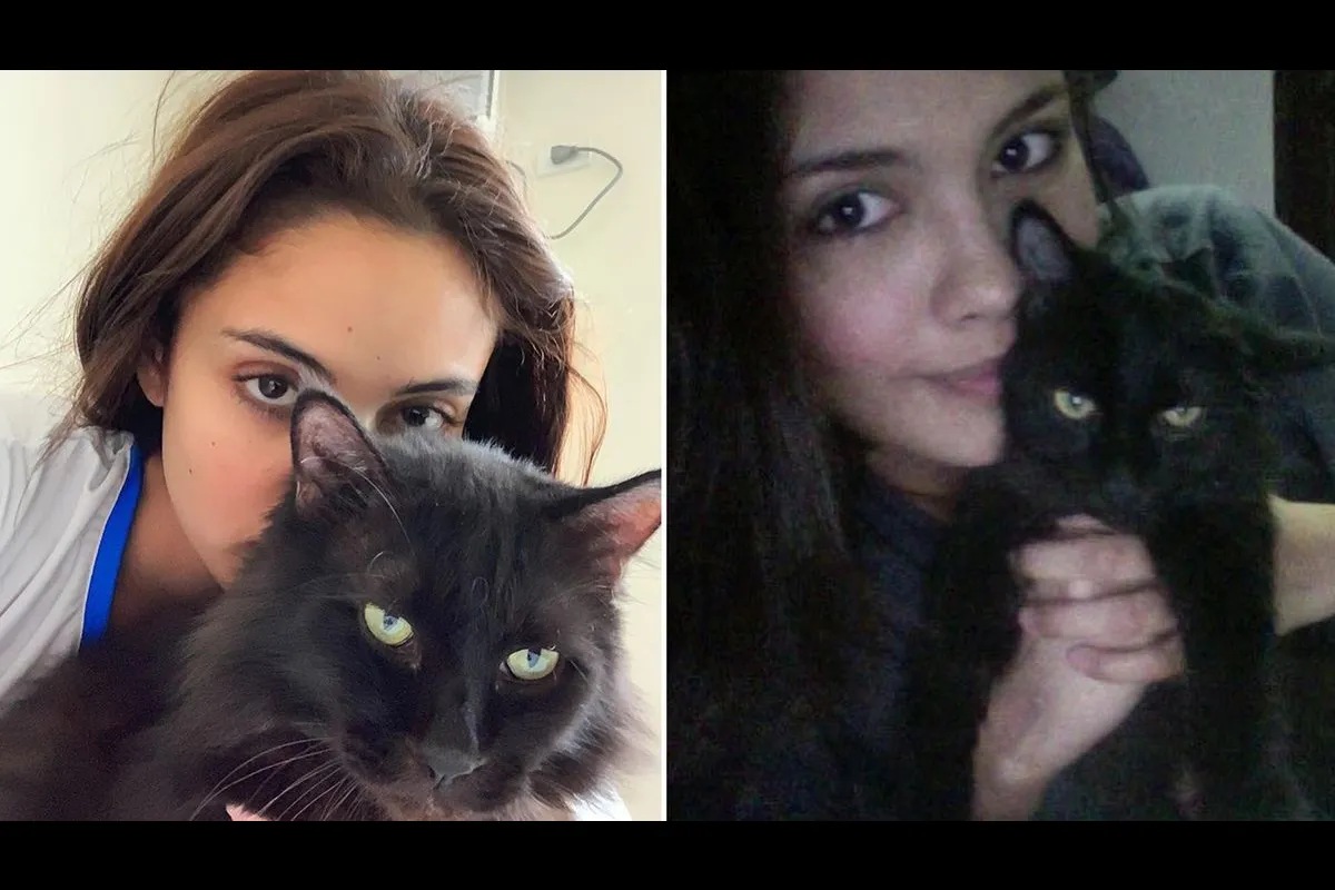 Megan Young mourns death of her pet cat Salem | ABS-CBN Entertainment