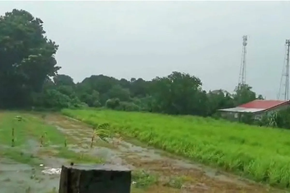 PANOORIN: Pag-ulan sa Caoayan, Ilocos Sur dulot ng bagyong 'Enteng ...