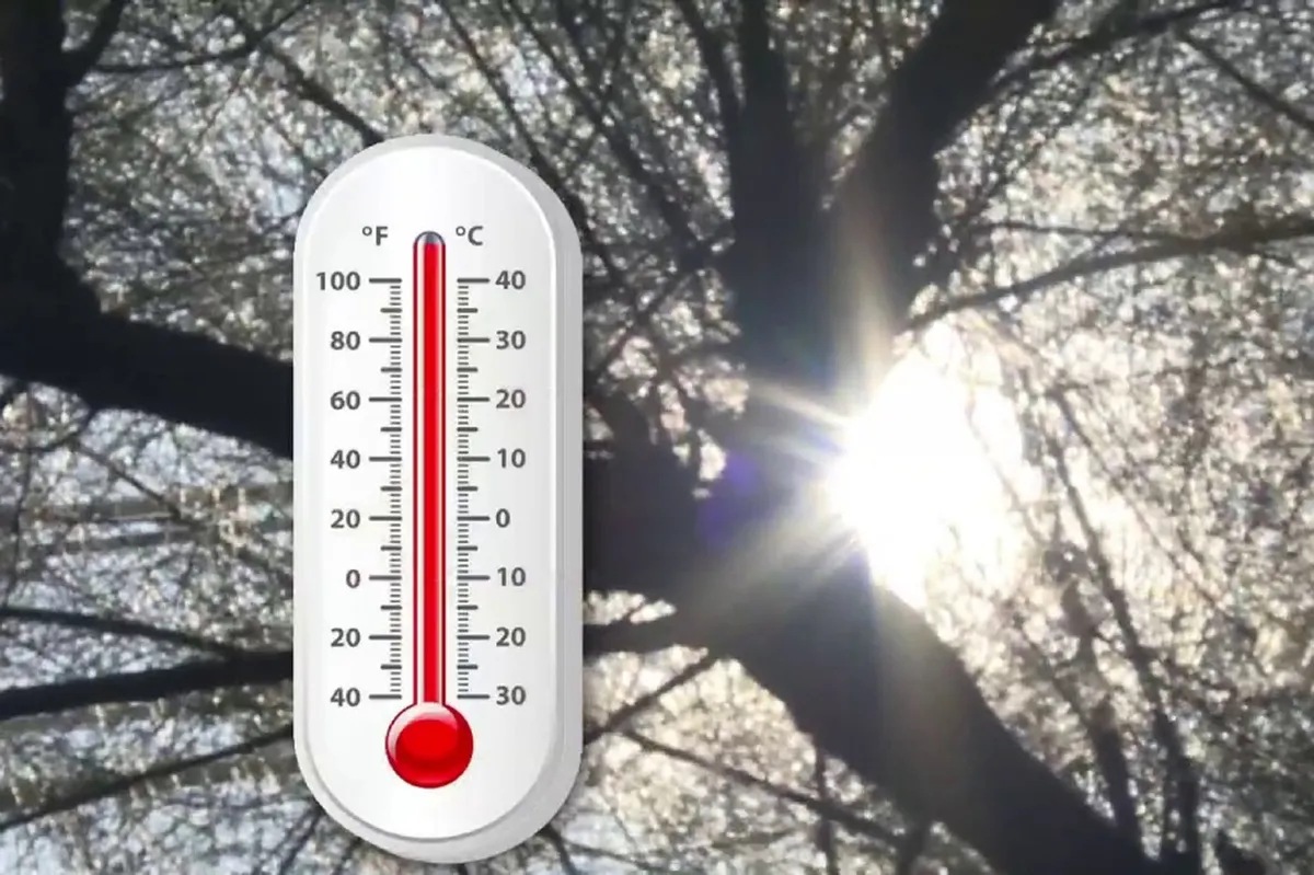 Mga babae hinimok na huwag muna mag-underwear sa bahay ngayong tag-init | ABS-CBN News