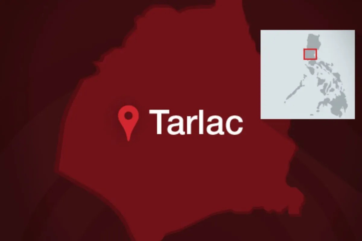 Marcos Jr. designates 'special economic zone' in Victoria, Tarlac | ABS ...