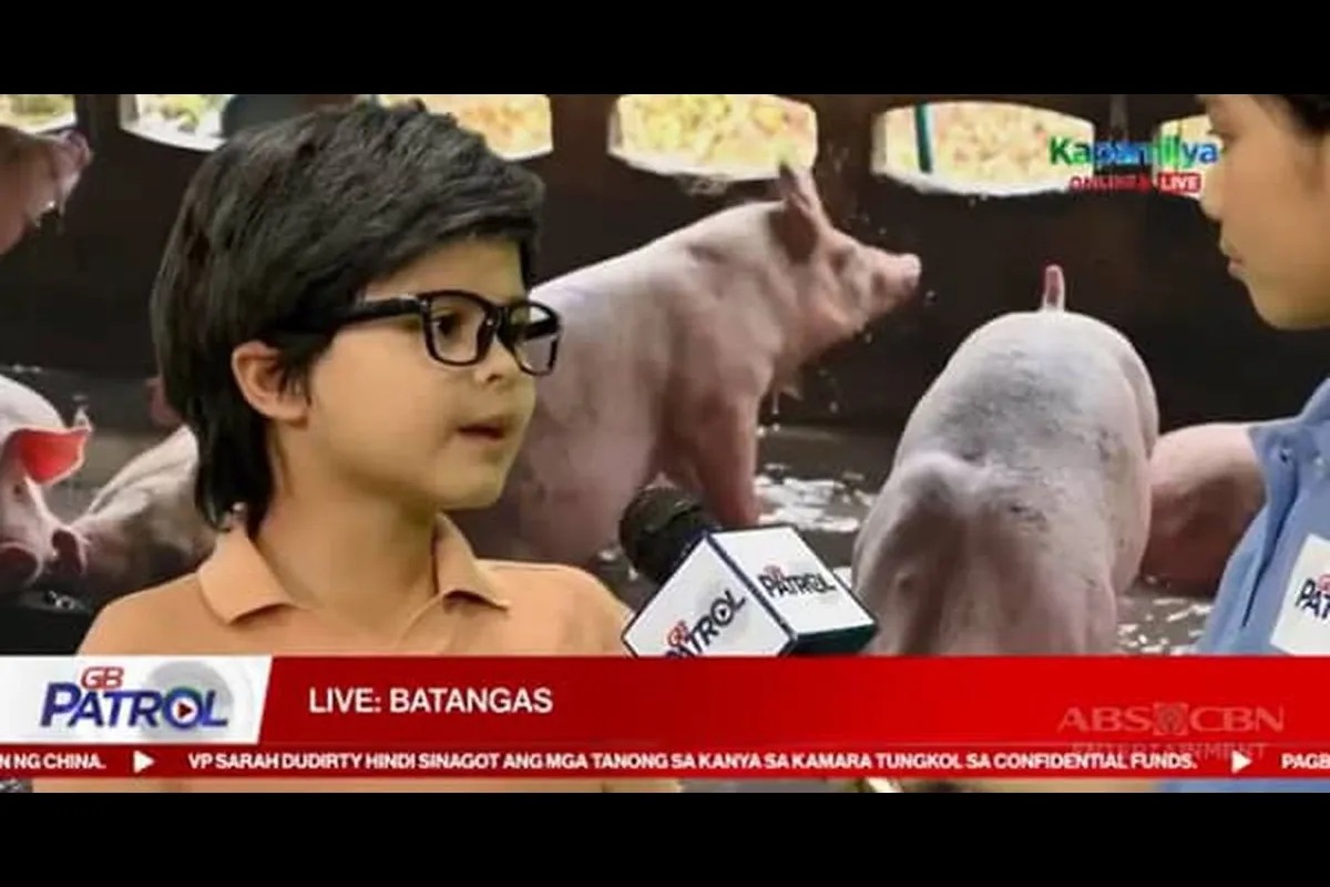 GB Patrol: Mga baboy sa Batangas, nabakunahan para sa anti-african ...