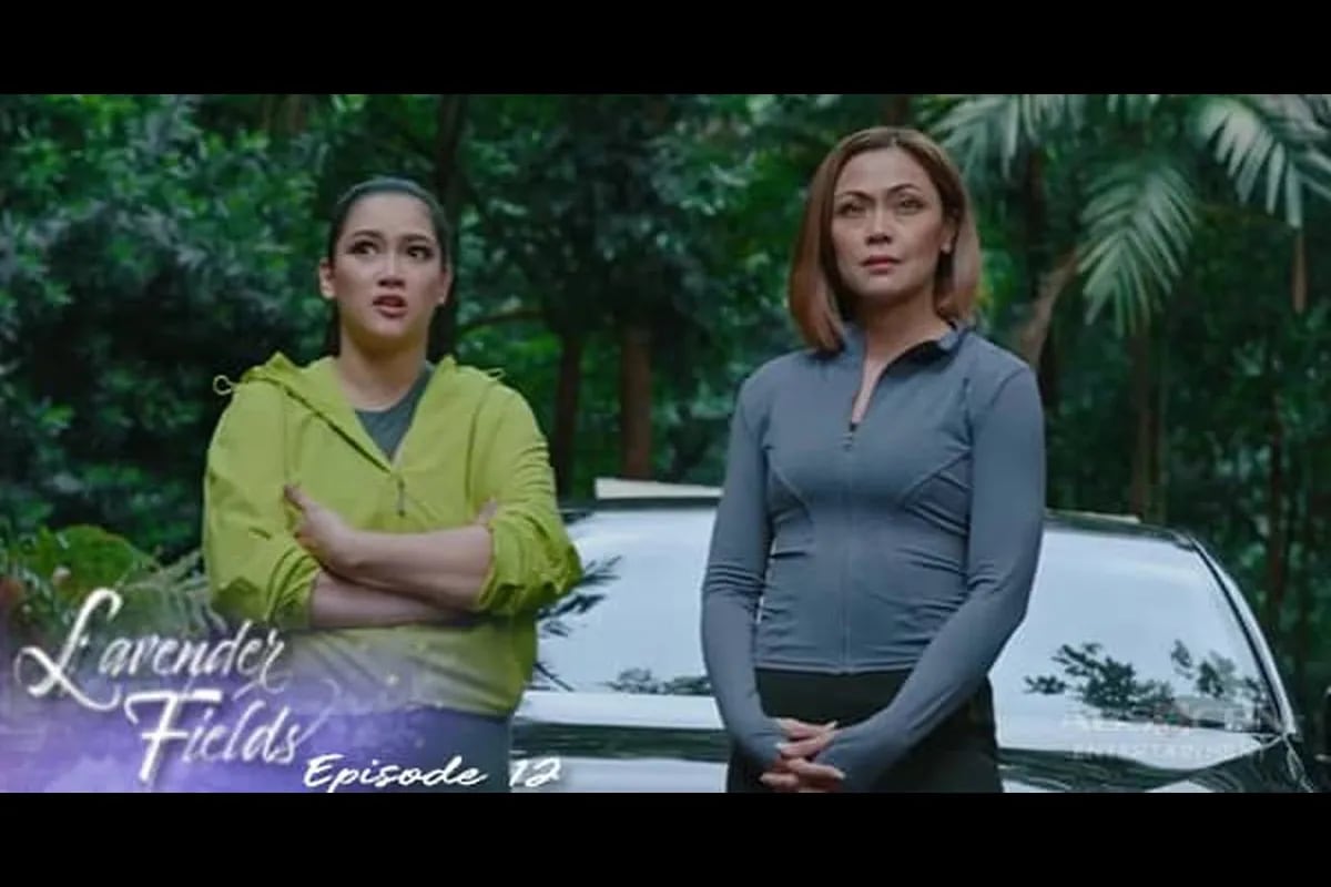 Lavender Fields: Petunia, dinala si Lavender sa nasunog na bahay nina ...