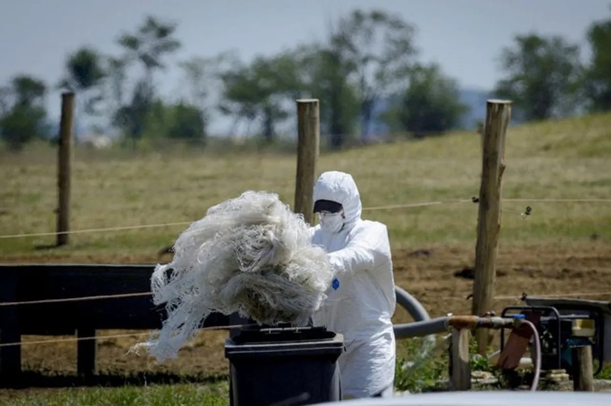 Anthrax does not spread like flu; risk of infection in general public ...