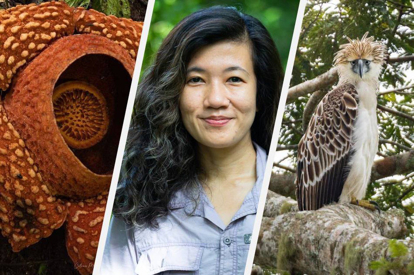 Get to know Celine Murillo, the ‘green-fluencer’ championing love for ...