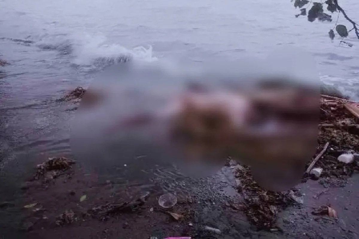 3 patay, 7 pinaghahanap sa 2 lumubog na bangka sa Romblon | ABS-CBN News