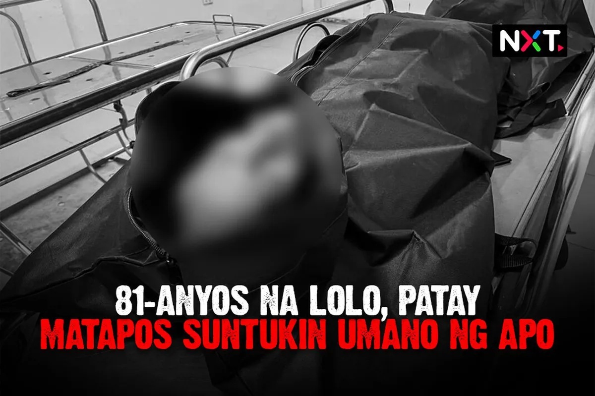 81-anyos na lolo, patay matapos suntukin umano ng apo | ABS-CBN News