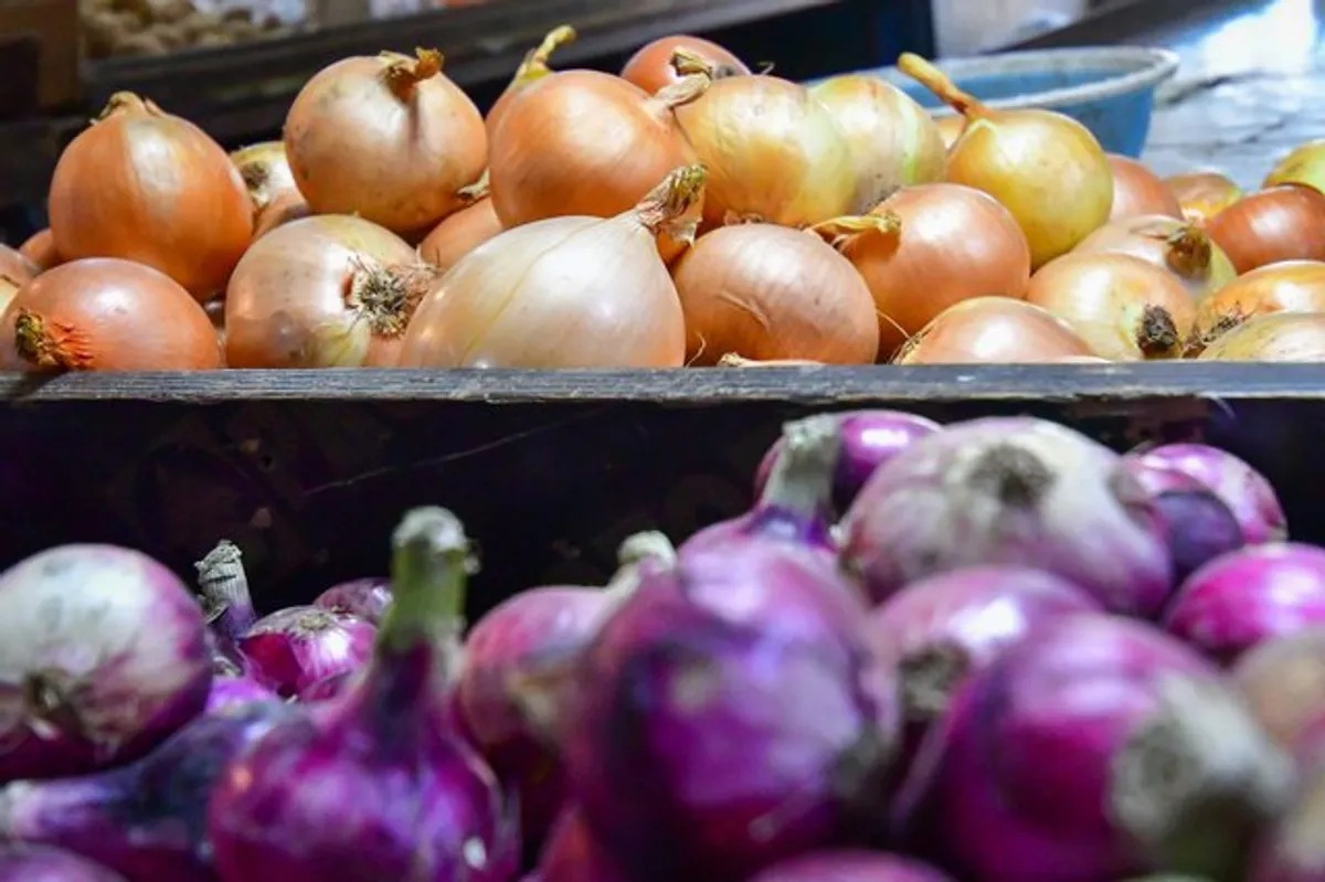 Agri dept OKs importing 16,000 tons of white onions | ABS-CBN News