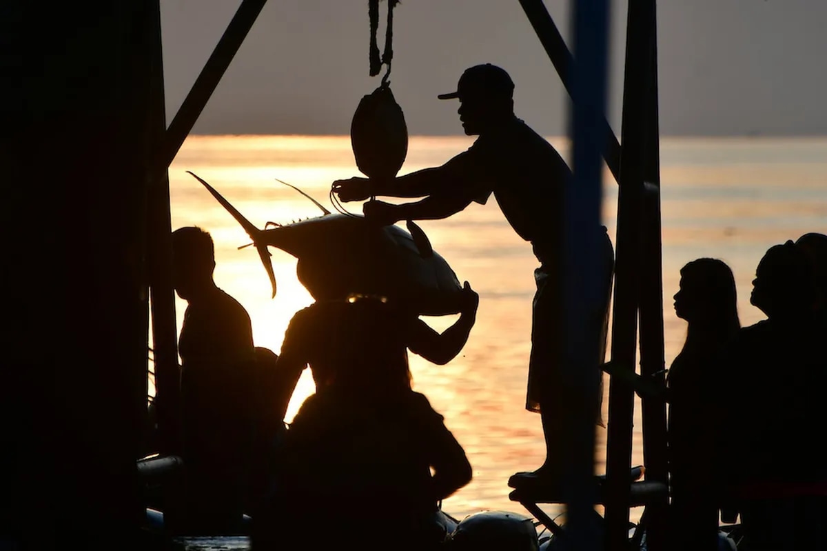 Agri chief set to blacklist 4 companies tagged in smuggling fish, sugar ...