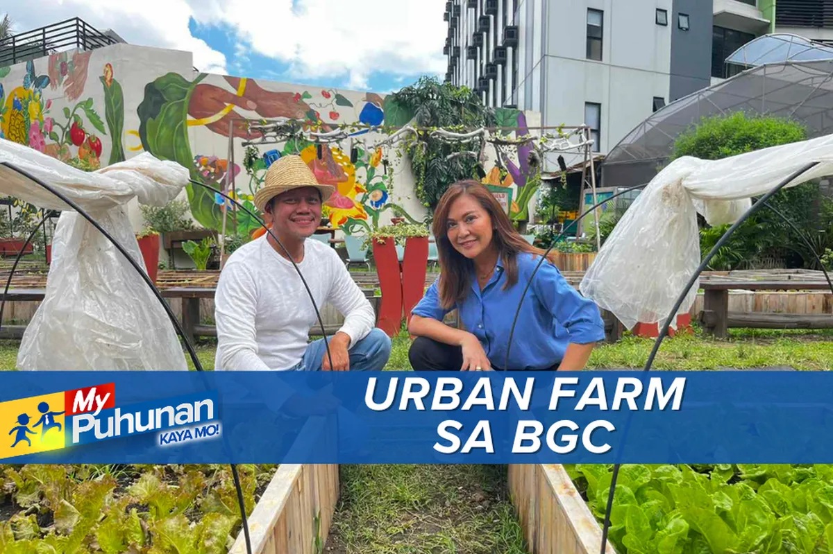 'My Puhunan: Kaya Mo!': Taniman ng mga gulay matatagpuan gitna ng BGC ...