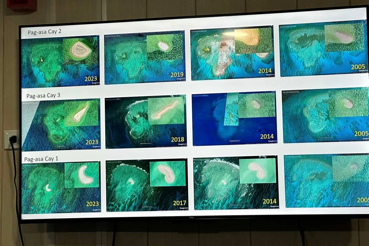 More scientific surveys needed to determine reason of dumped crushed ...