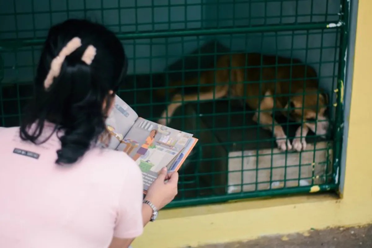 Help neglected animals heal and feel loved through PAWS' Project CALM ...