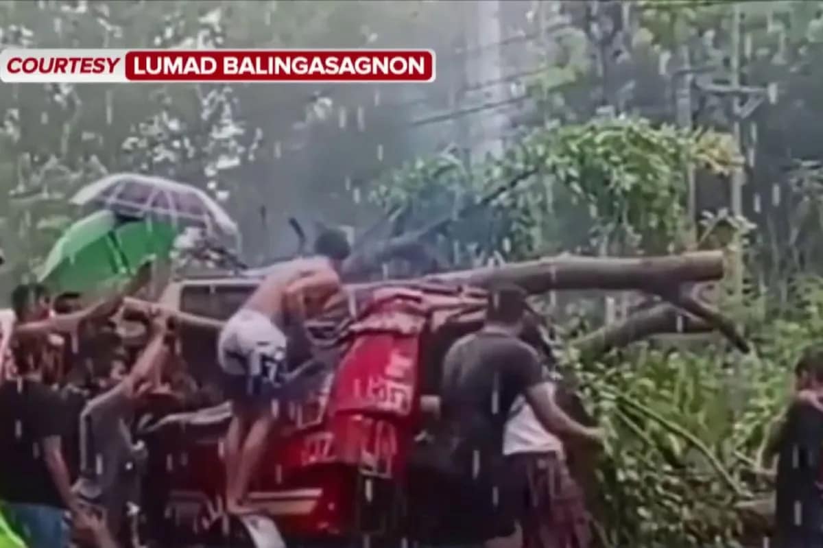 Dalagita patay nang mabagsakan ng puno sa Misamis Oriental | ABS-CBN News Dalagita patay nang mabagsakan ng puno sa Misamis Oriental | ABS-CBN News