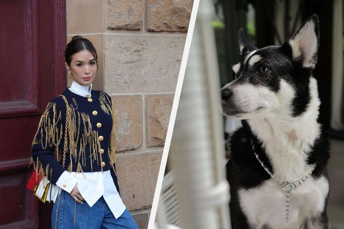 LOOK: Heart Evangelistas' dog wears Bulgari Serpenti Viper Necklace ...